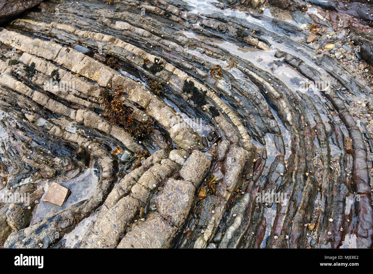 French cliff coast of the Armorican massif Stock Photo - Alamy