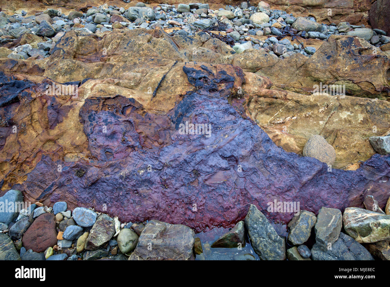 French cliff coast of the Armorican massif Stock Photo - Alamy