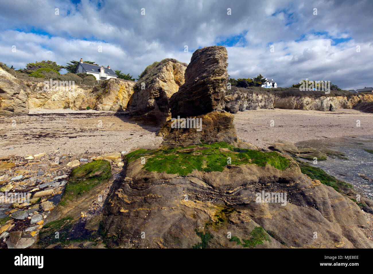 French cliff coast of the Armorican massif Stock Photo - Alamy