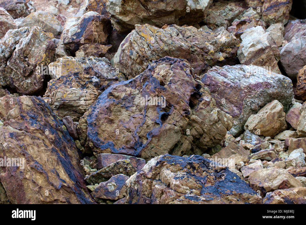 Armorican hi-res stock photography and images - Alamy