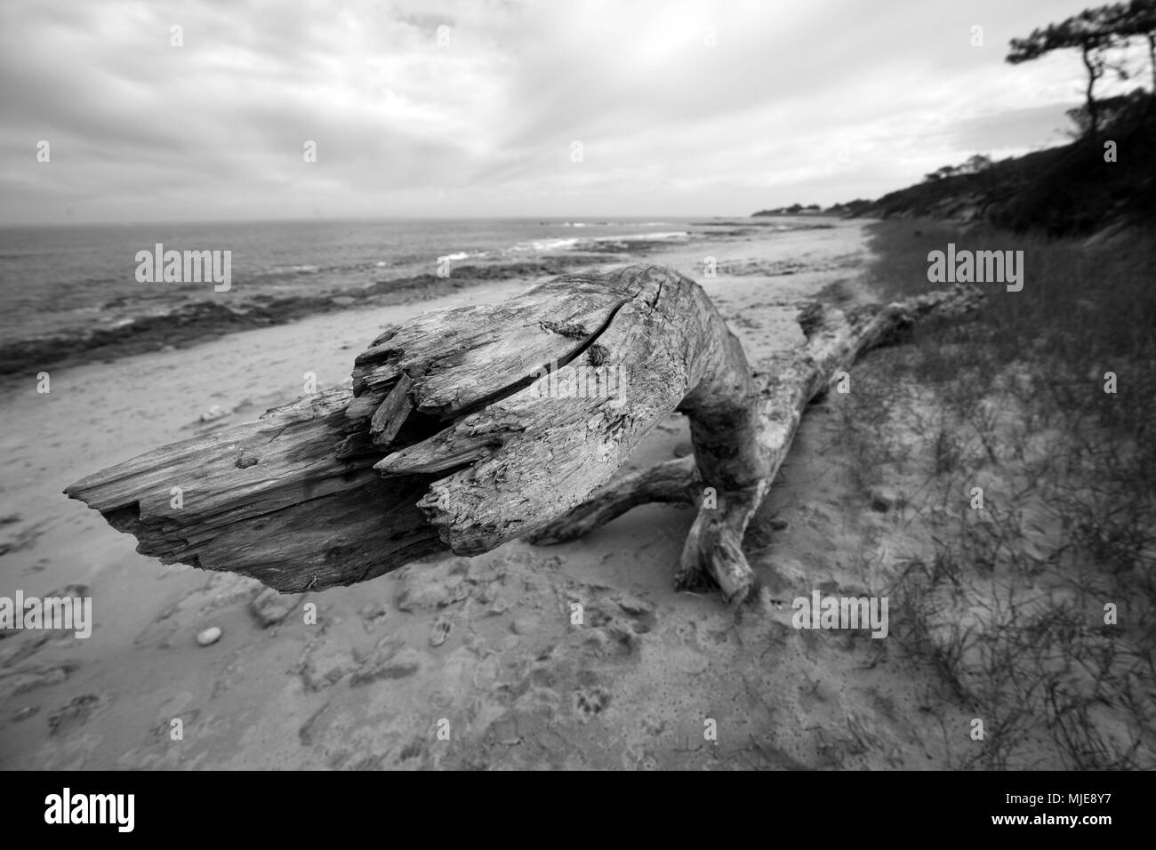 Flotsam an jetsam Black and White Stock Photos & Images - Alamy