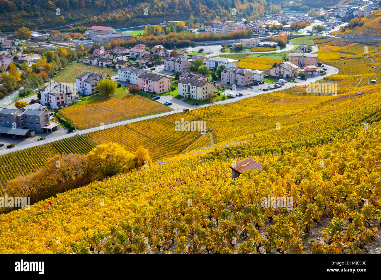 Vallee du rhone hi-res stock photography and images - Alamy