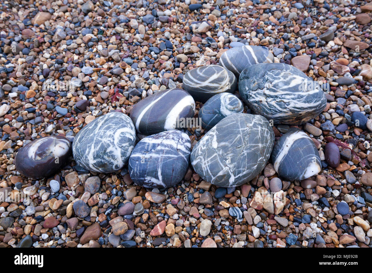 Striped pebbles hi-res stock photography and images - Alamy