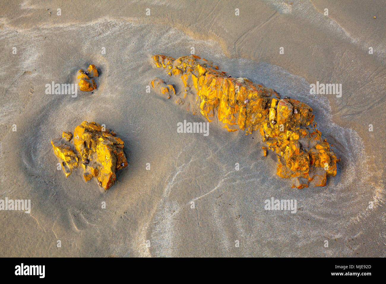 golden rocks in the sand beach Stock Photo - Alamy