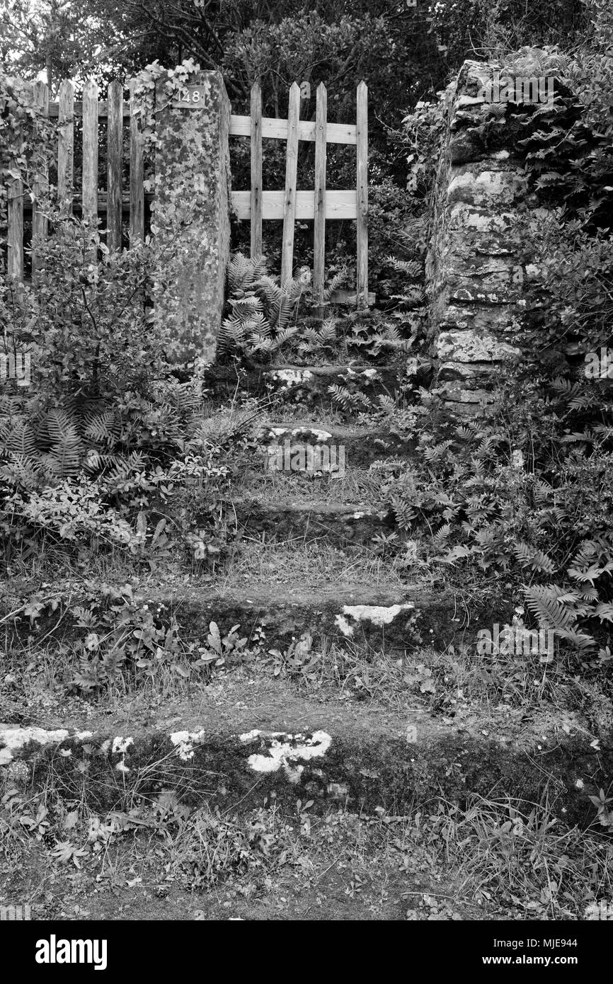 Overgrown garden gate hi-res stock photography and images - Alamy