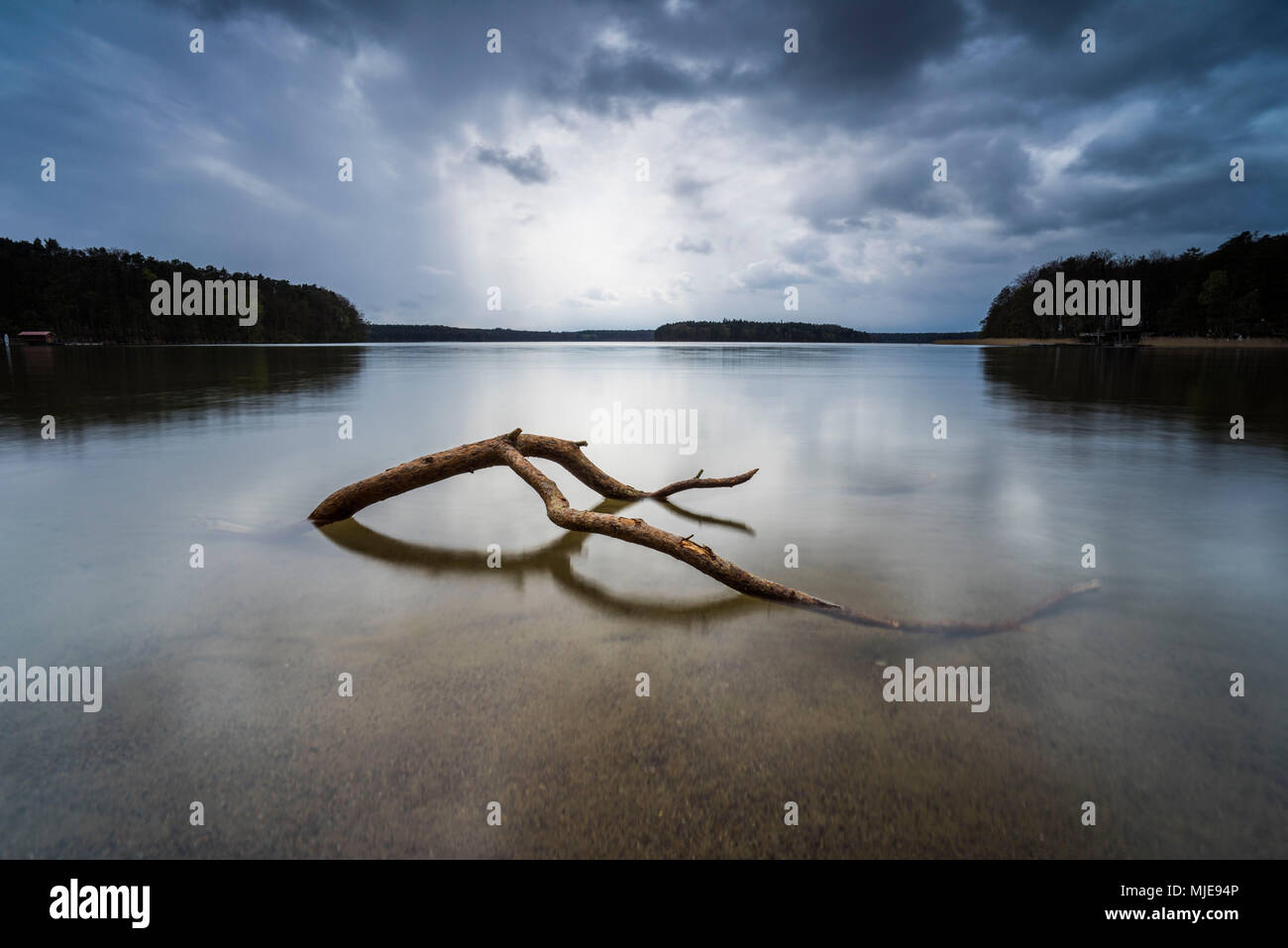 Lake, dead tree, water Stock Photo - Alamy