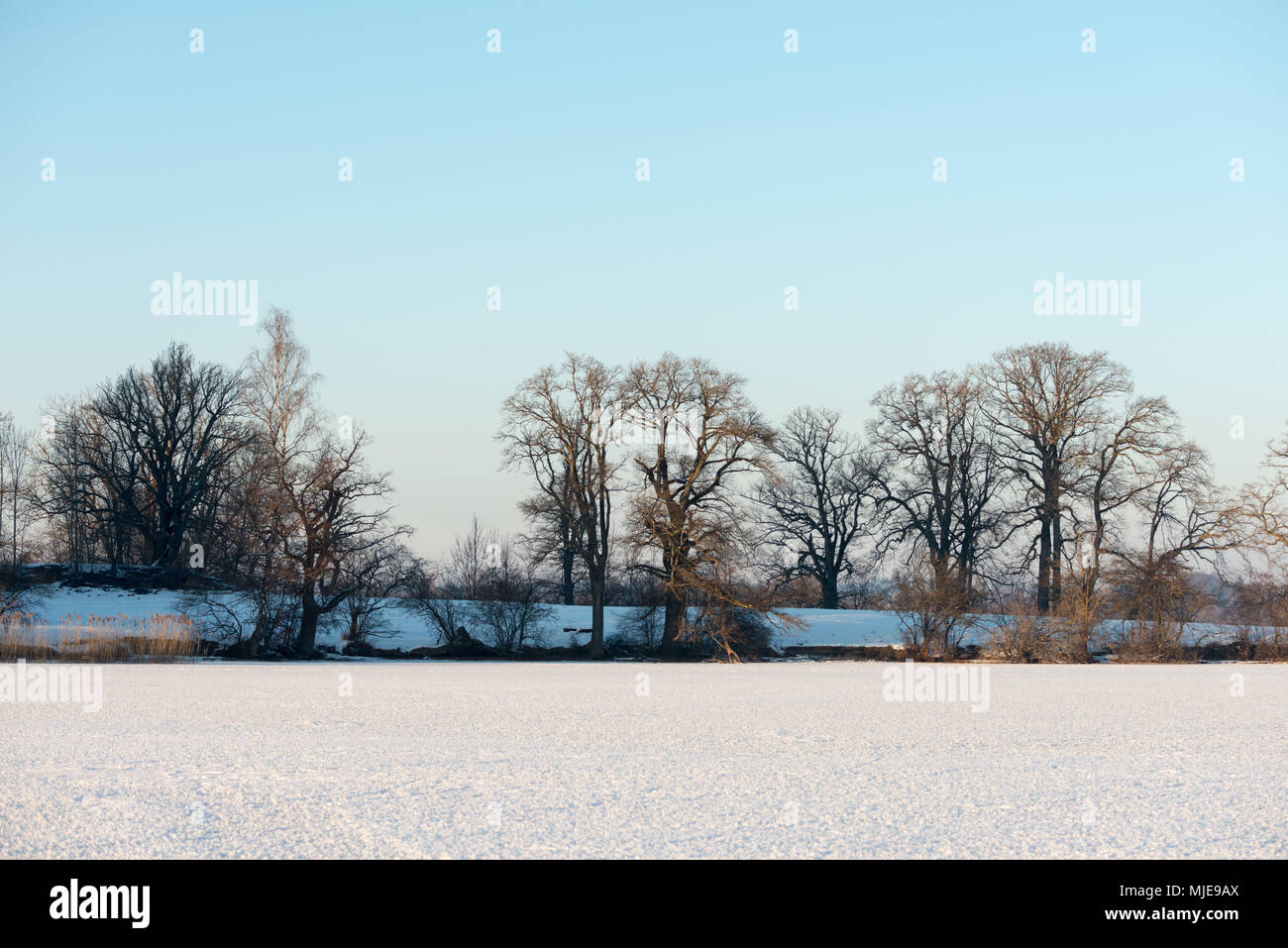 Frozen staffelsee hi-res stock photography and images - Alamy