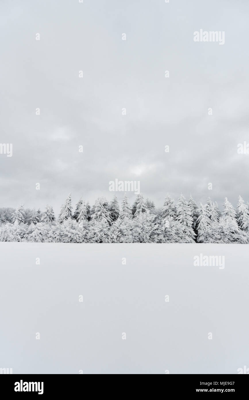 Fir hill hi-res stock photography and images - Alamy