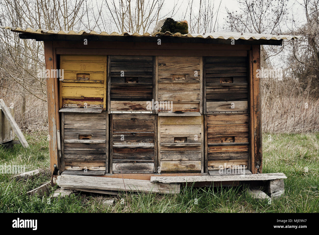 eight boxes for bees on the edge of the forest on a meadow, autumn ...