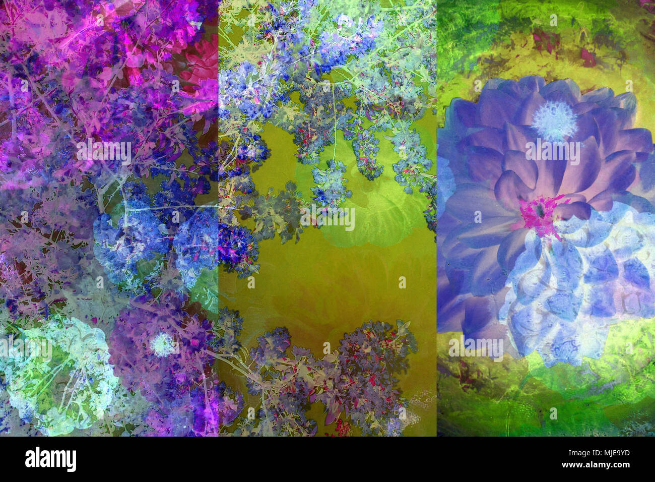 Negative flowers hi-res stock photography and images - Alamy