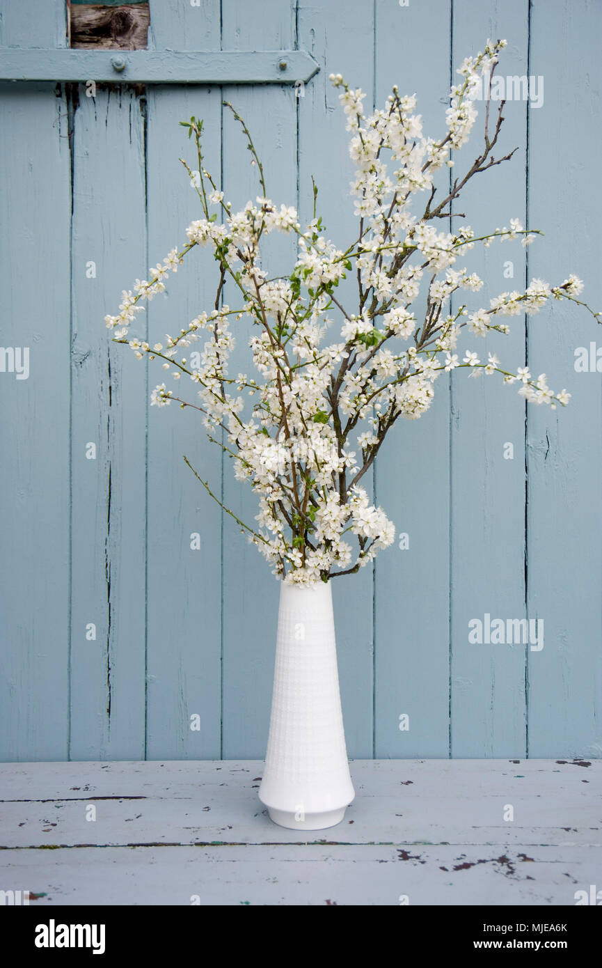 Flower vase, first spring flowers Stock Photo - Alamy