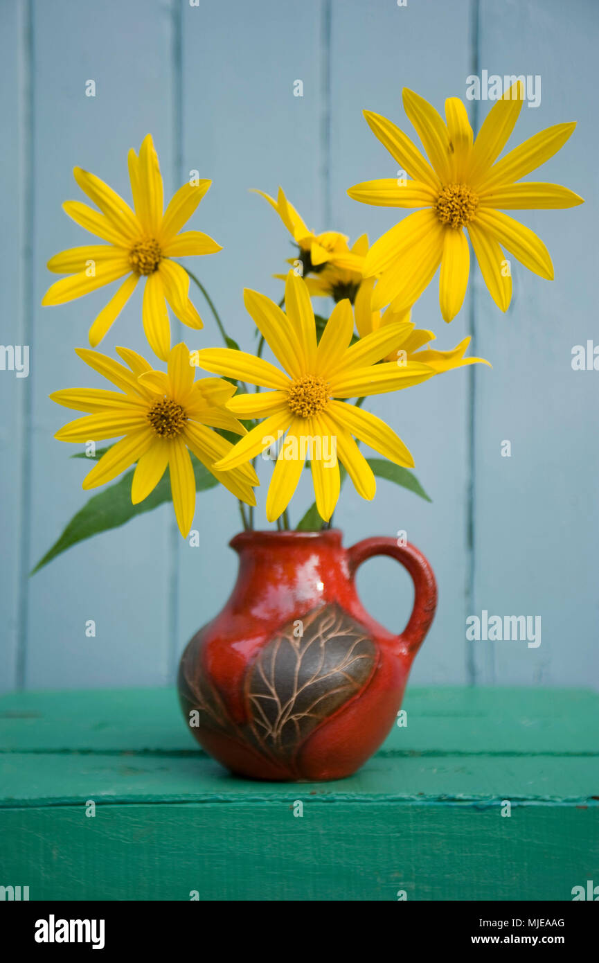 sunroot flowers in a small vase Stock Photo - Alamy