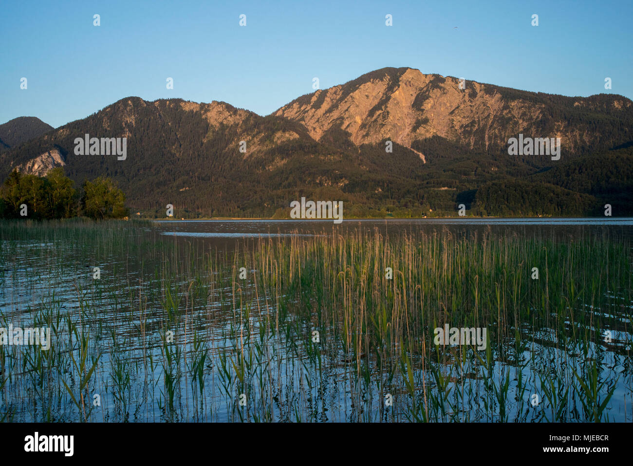 view from Schlehdorf over the Kochelsee (Lake Kochel) to the Jochberg in the evening, close ...