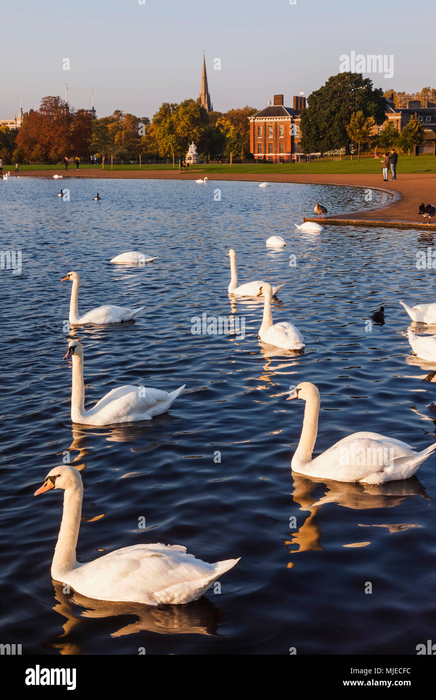 Round pond hi-res stock photography and images - Alamy