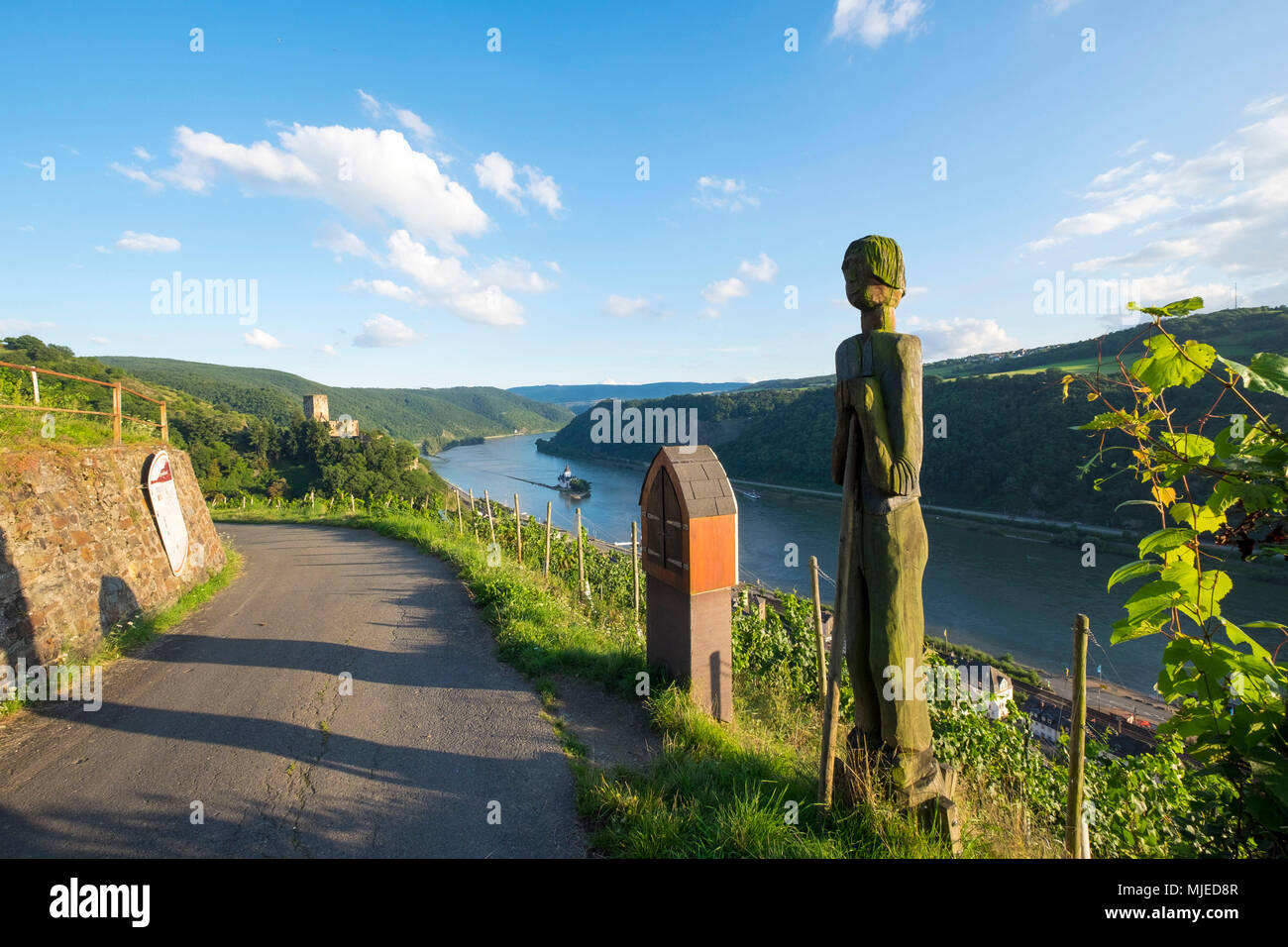 Vineyard in Kaub in Rhine Germany Europe Stock Photo - Alamy
