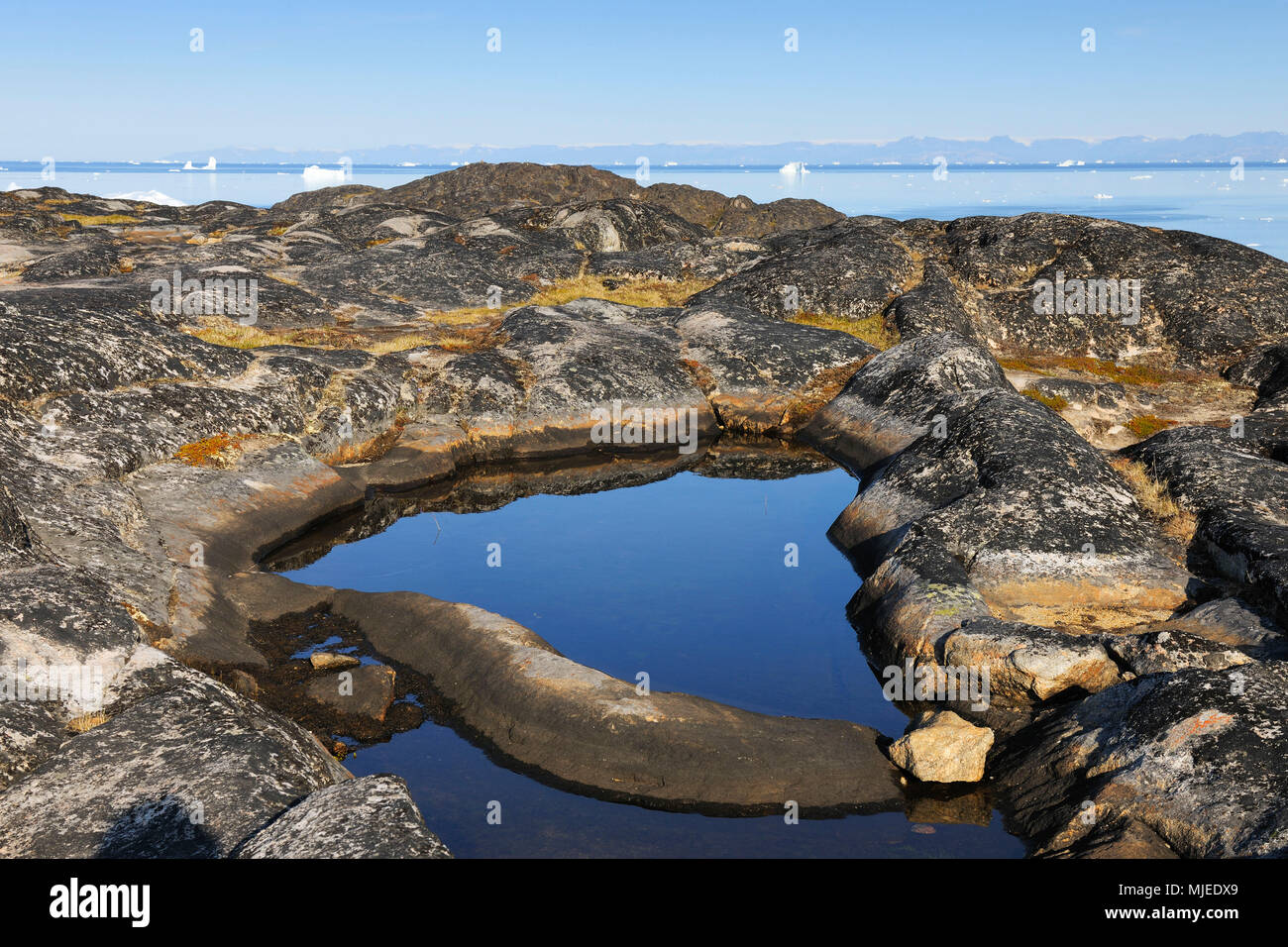 Arctic rock landscape with little pond in summer, Ilulissat, Icefjord ...