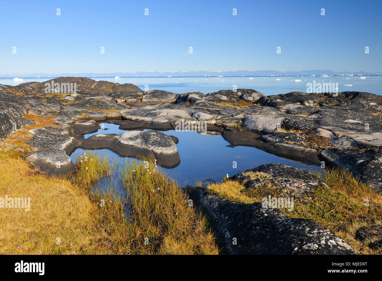 Arctic rock landscape with little pond in summer, Ilulissat, Icefjord ...