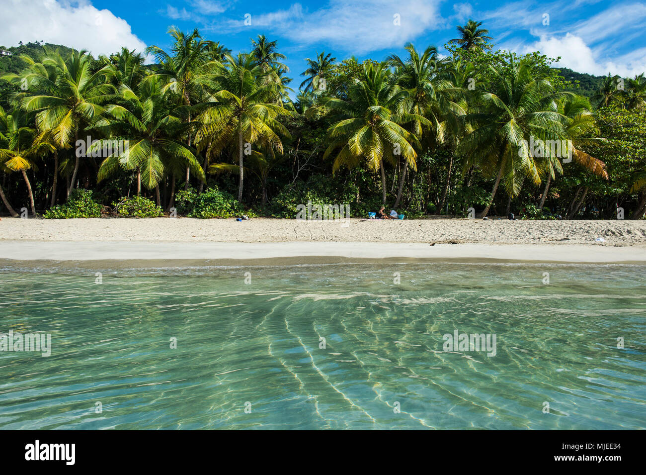 Brewers Bay, Tortola, British Virgin Islands Stock Photo - Alamy