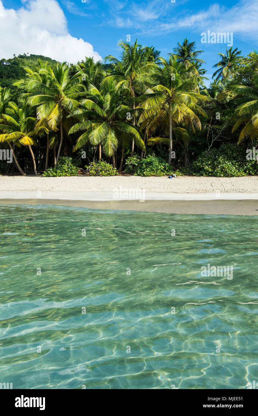 Brewers Bay, Tortola, British Virgin Islands Stock Photo - Alamy