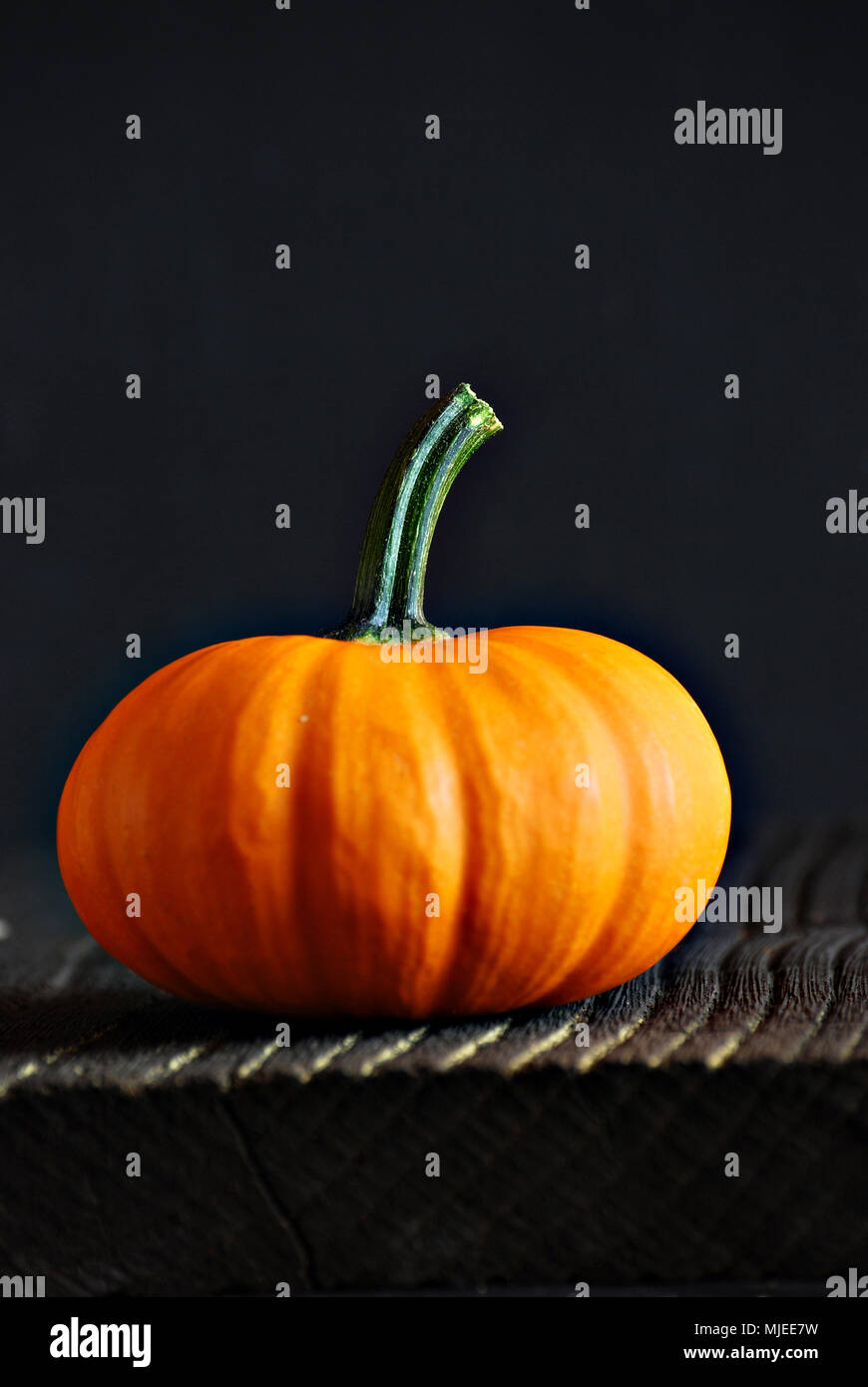 pumpkin - focus on stem Stock Photo - Alamy