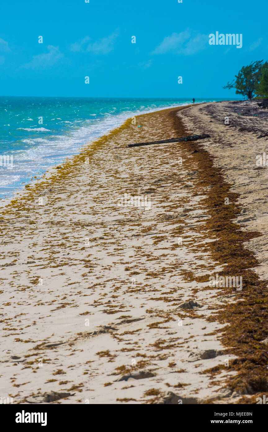 Long bay beach turks and caicos hi-res stock photography and images - Alamy