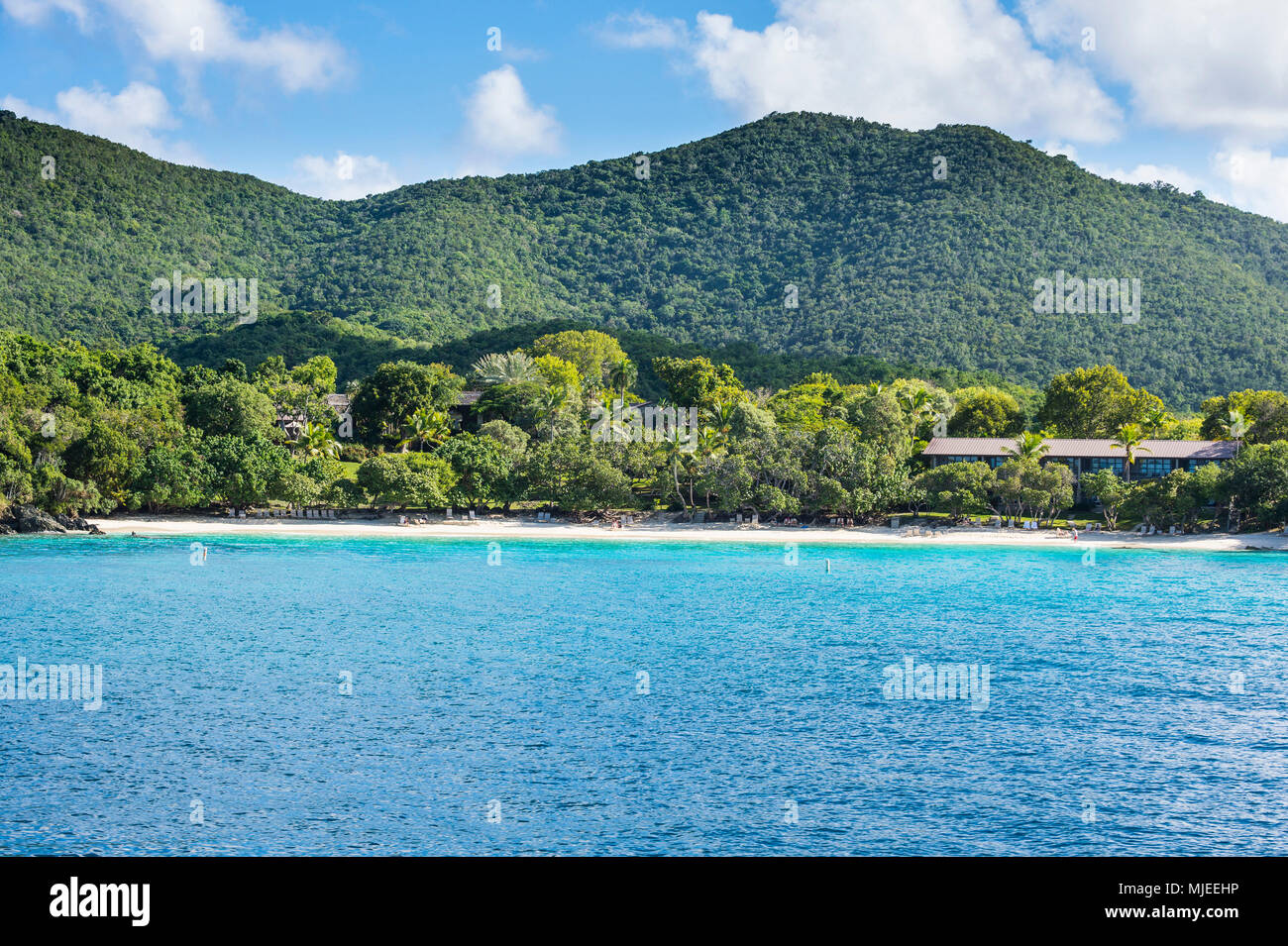 White sand beach in St. John, Virgin Islands national park, US Virgin ...