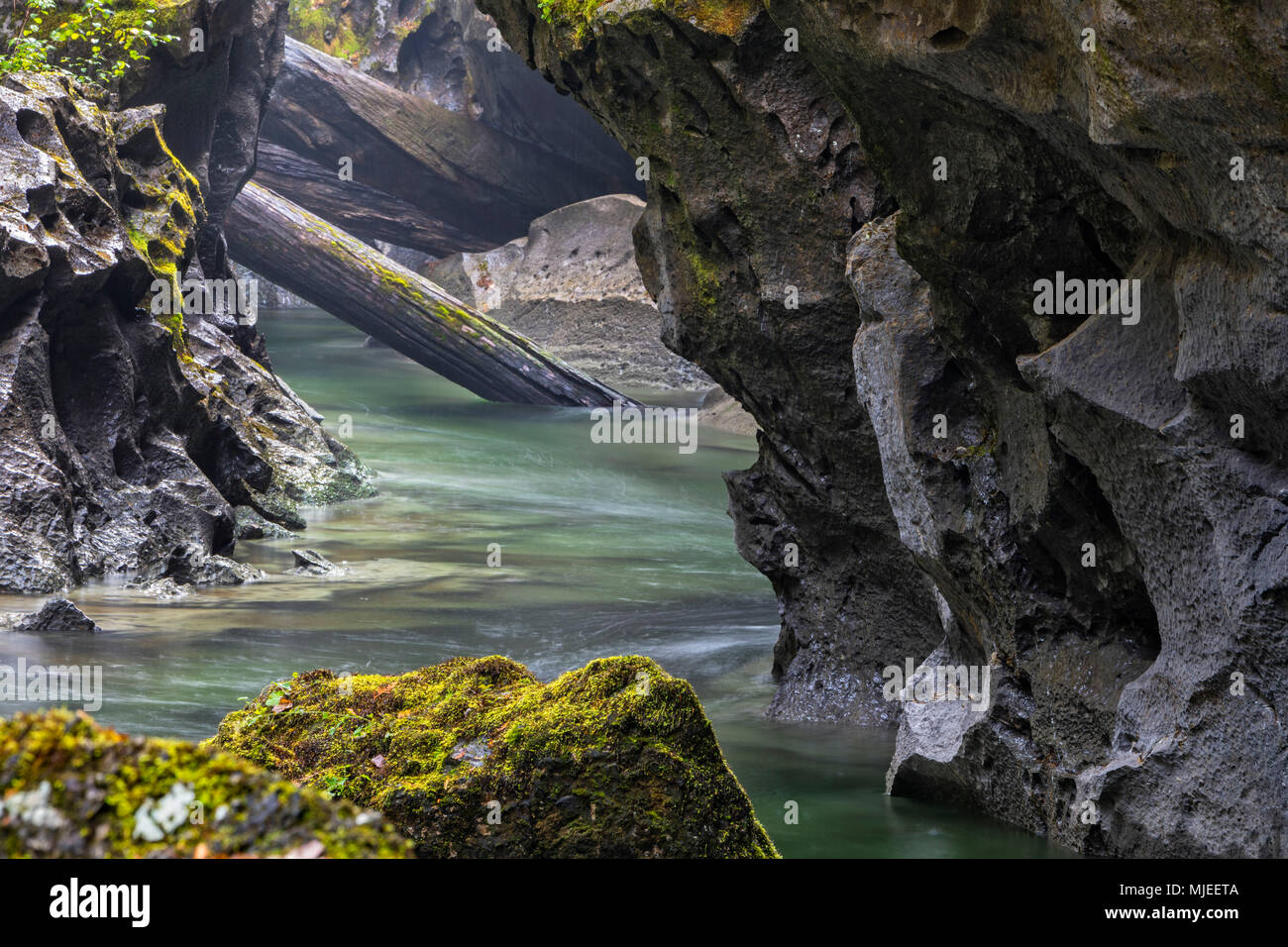 Northern british columbia hi-res stock photography and images - Alamy
