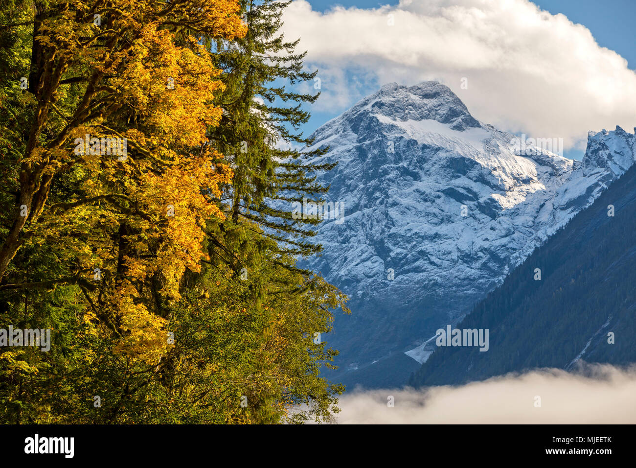 Knight inlet canada hi-res stock photography and images - Alamy