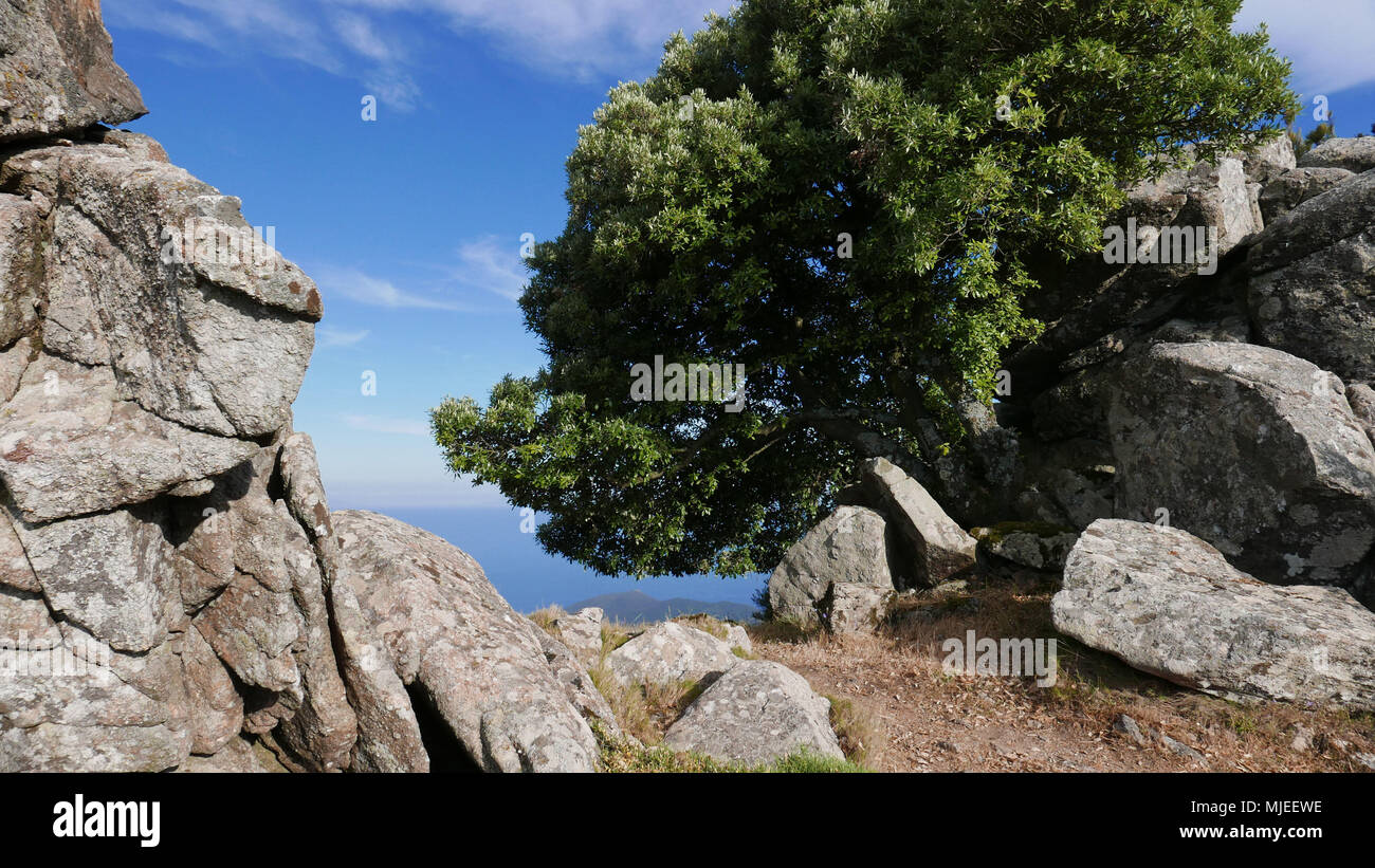 Italy, Elba island, Mt. Perone Stock Photo - Alamy