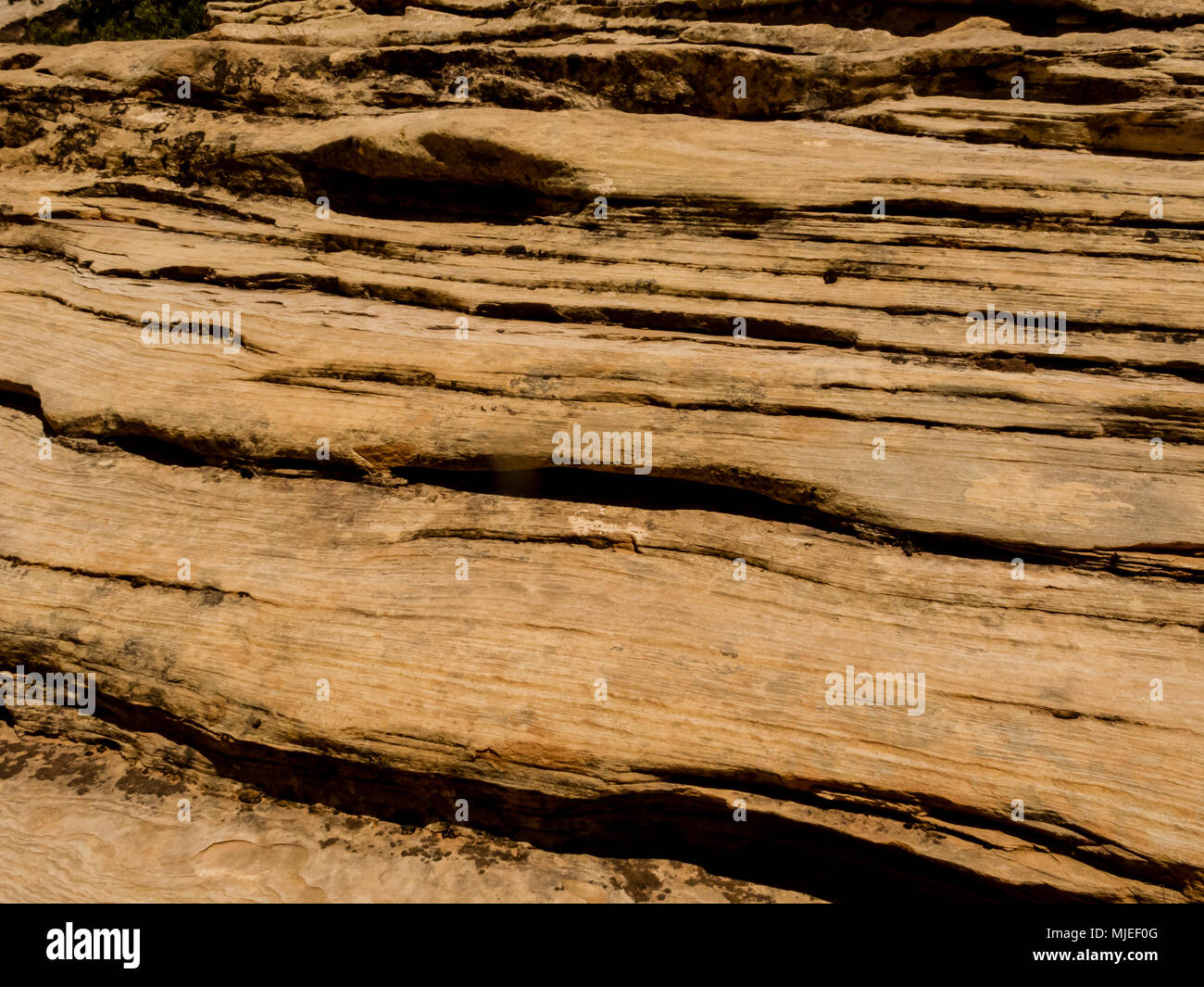 Lithification process hi-res stock photography and images - Alamy