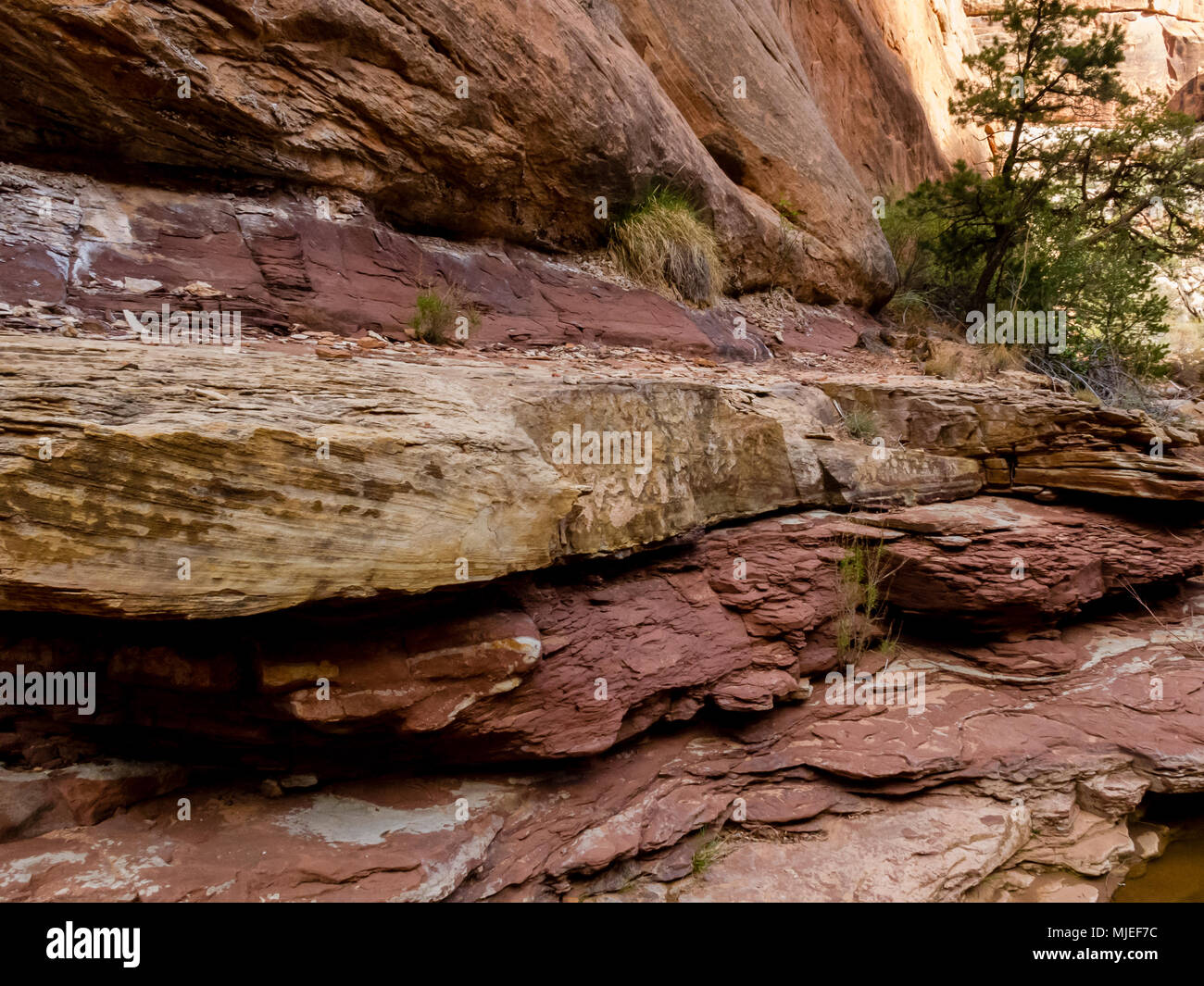 Dune cross bedding hi-res stock photography and images - Alamy