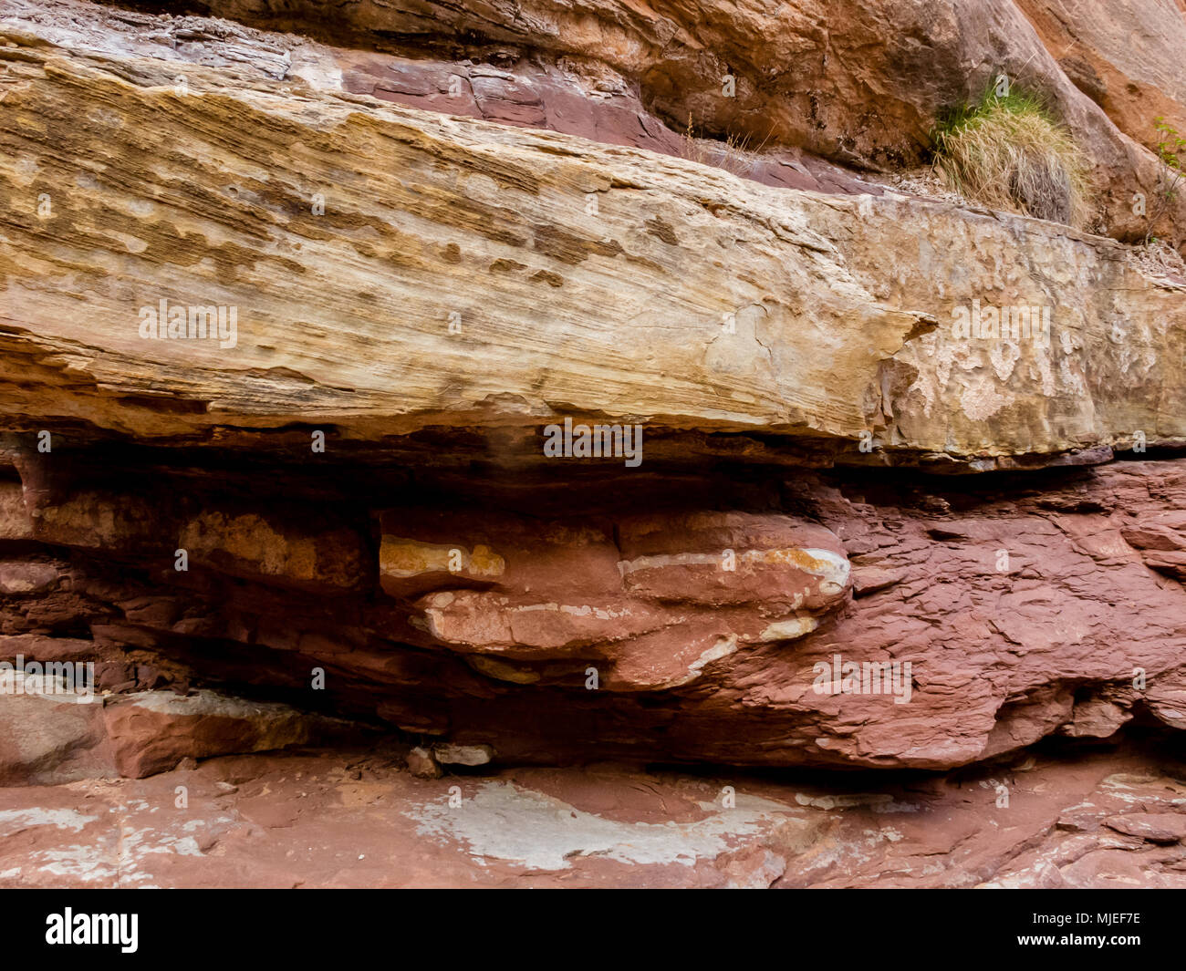 Lithification of sand dunes is the process turning unconsolidated sand ...