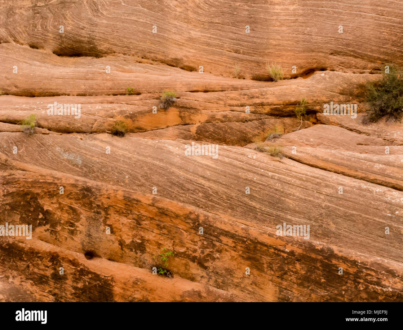 Lithification process hi-res stock photography and images - Alamy