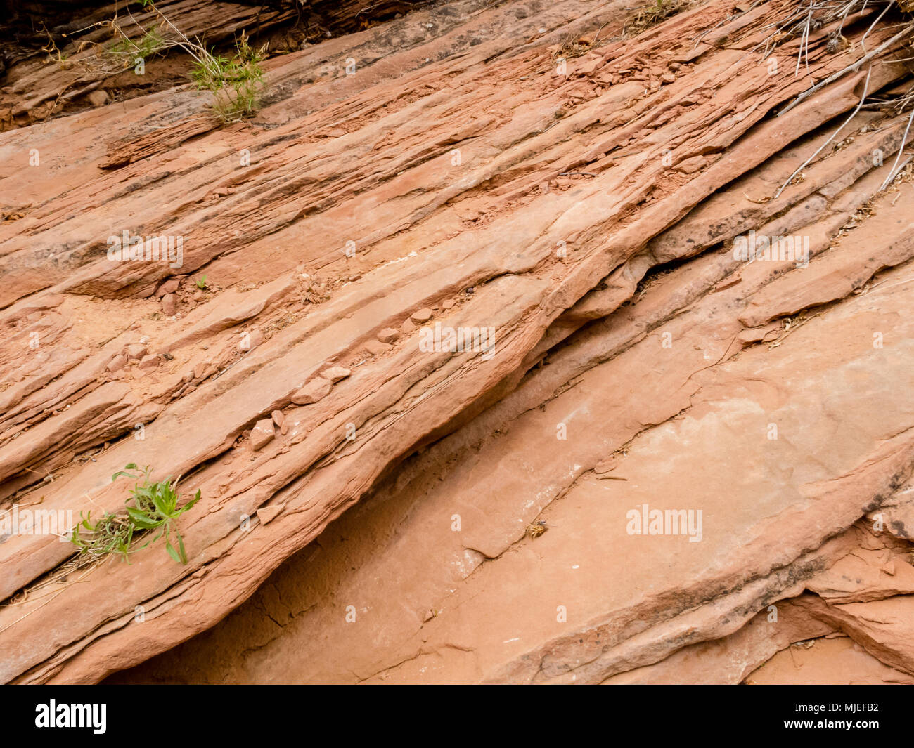 Lithification process hi-res stock photography and images - Alamy