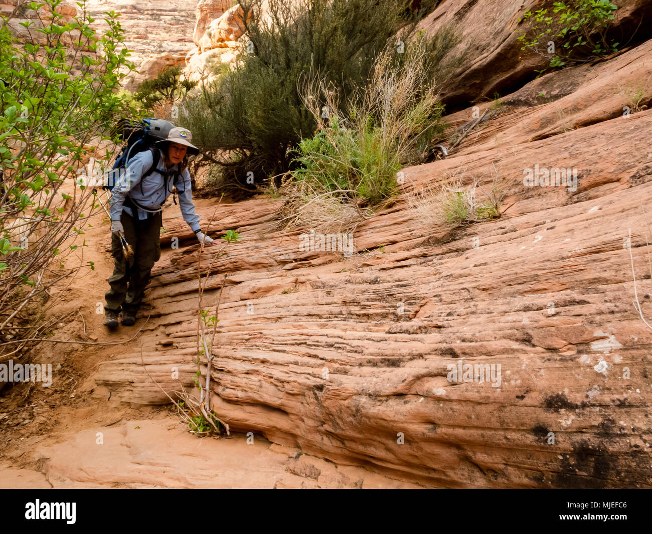 Lithification of sand dunes is the process turning unconsolidated sand ...