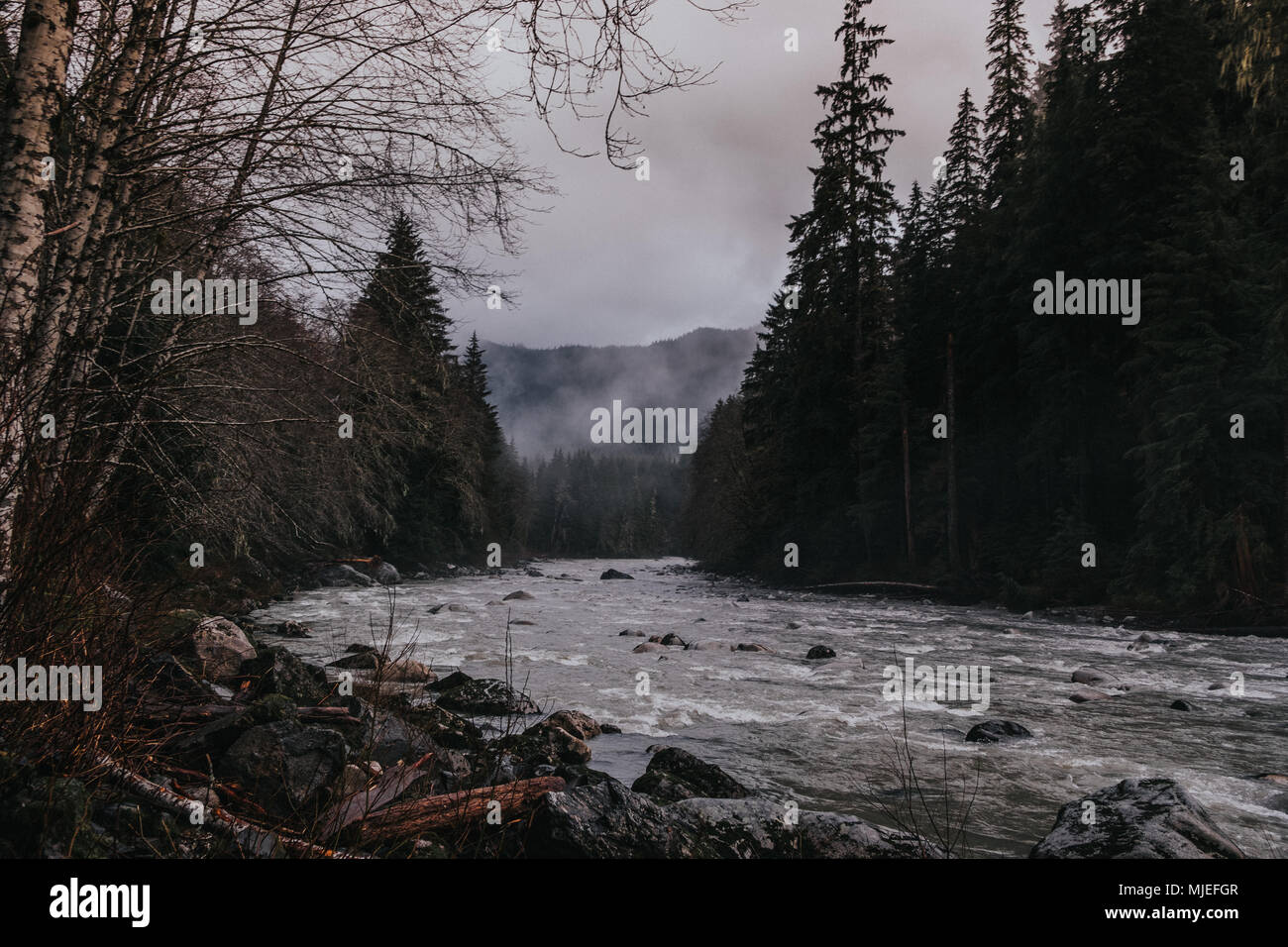 Bend river flowing in forest hi-res stock photography and images - Alamy