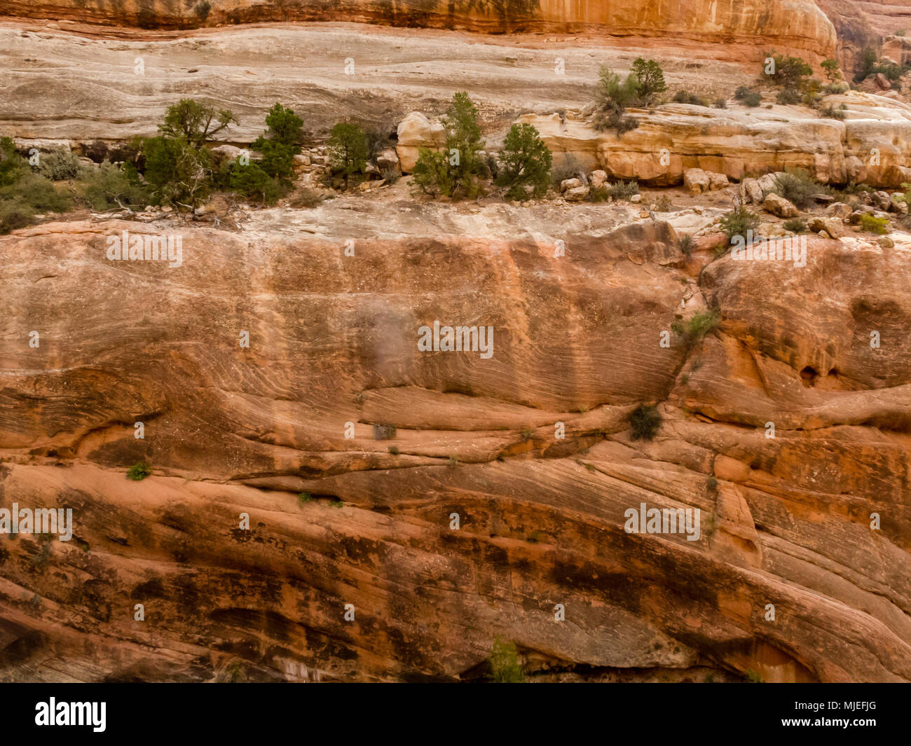 Lithification of sand dunes is the process turning unconsolidated sand ...