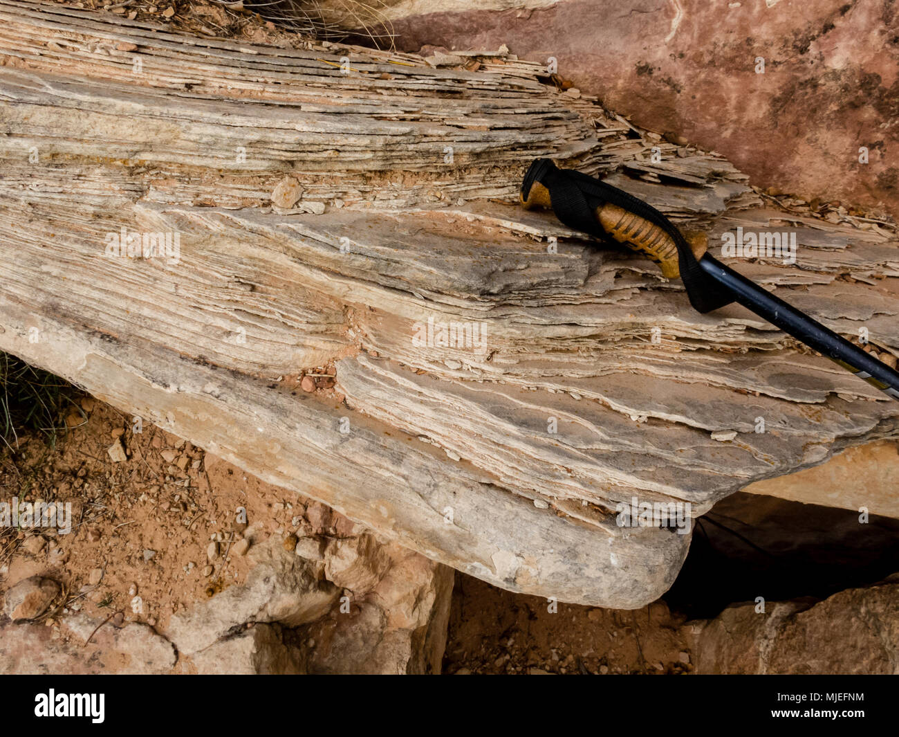 Unconsolidated Stock Photos & Unconsolidated Stock Images - Alamy