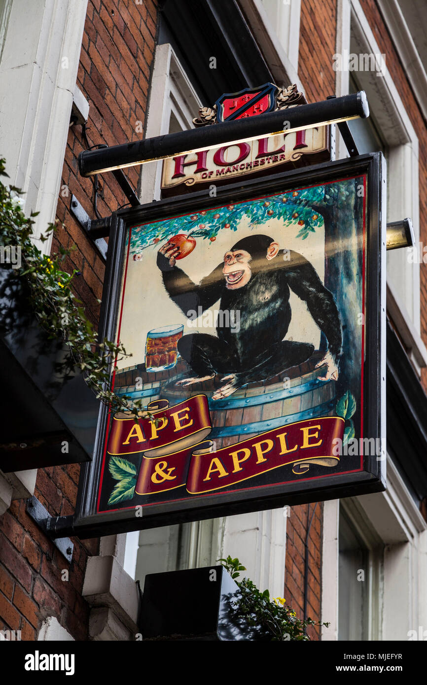 Ape and apple pub hi-res stock photography and images - Alamy