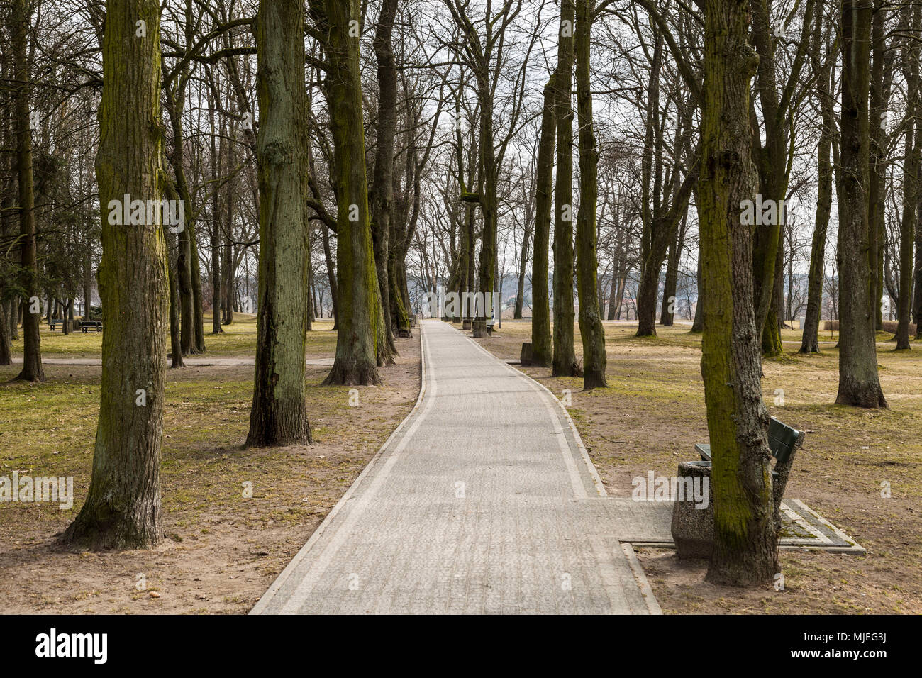 Wyszkow hi-res stock photography and images - Alamy