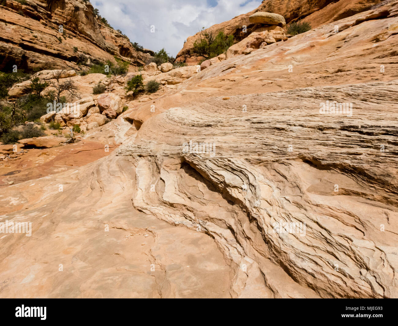 Dune lithification hi-res stock photography and images - Alamy