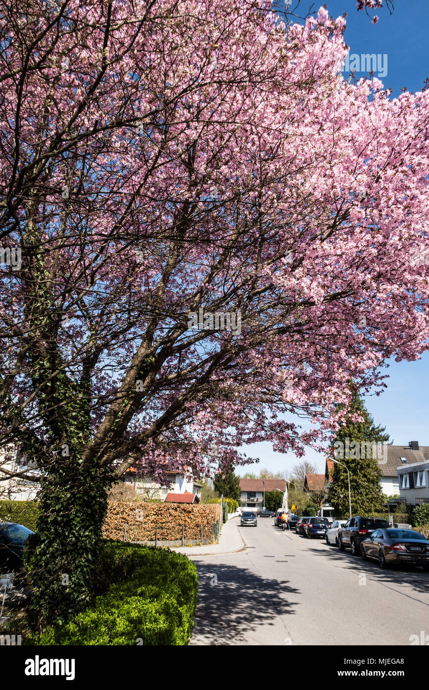 Unterhaching erzbergerstrasse steet hi-res stock photography and images ...