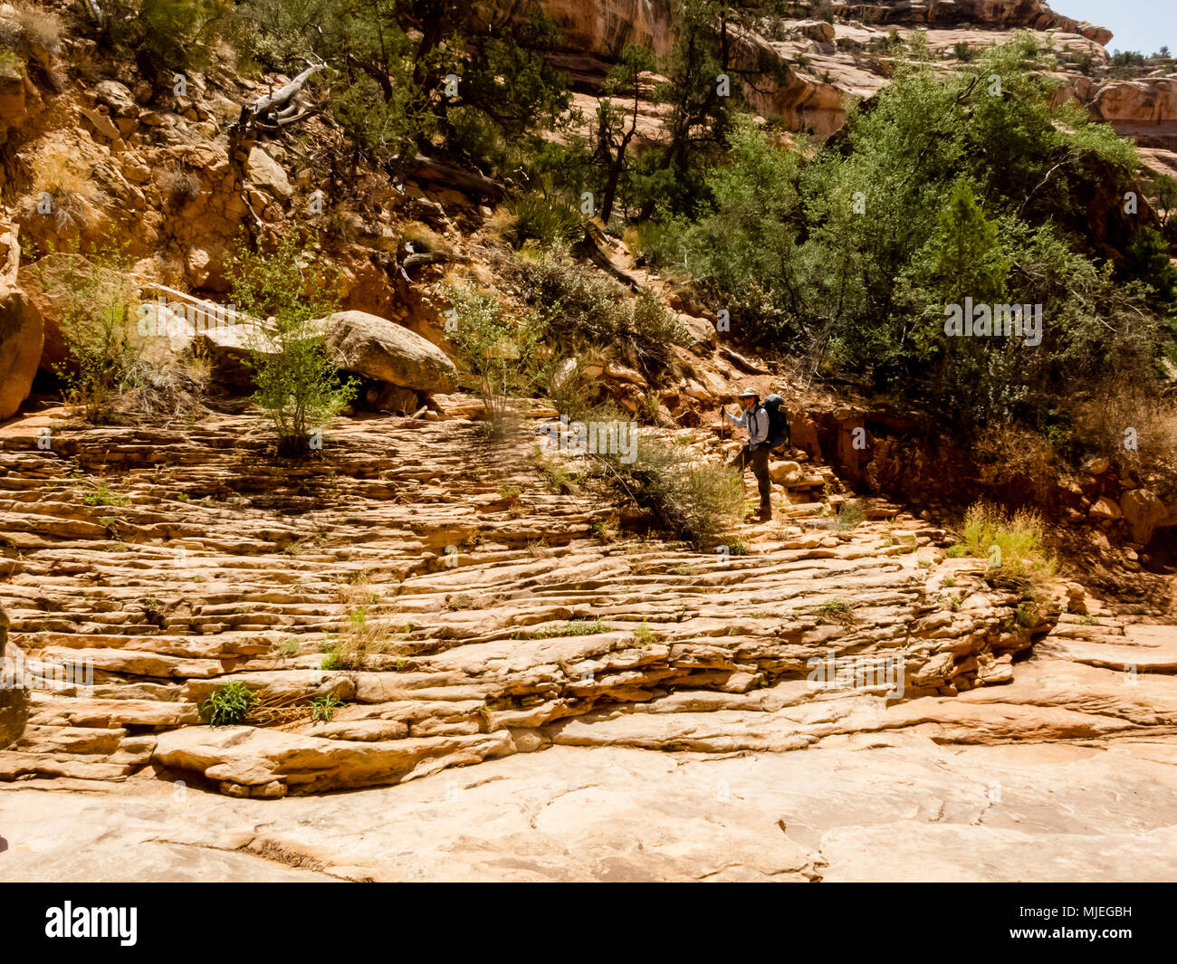 Lithification of sand dunes is the process turning unconsolidated sand ...