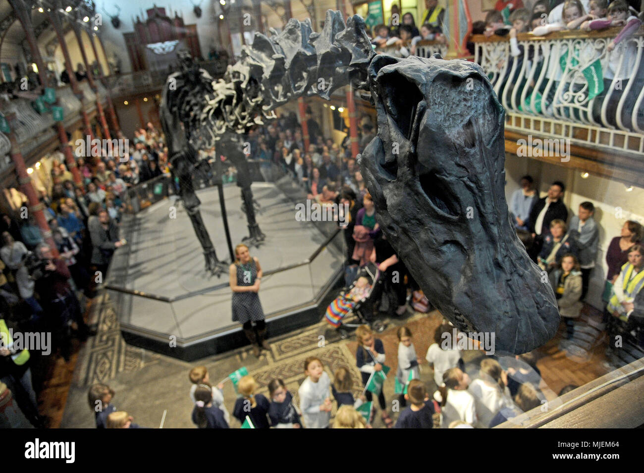 Dippy the Dinosaur, School children bid farewell to Dippy the Dinosaur ...