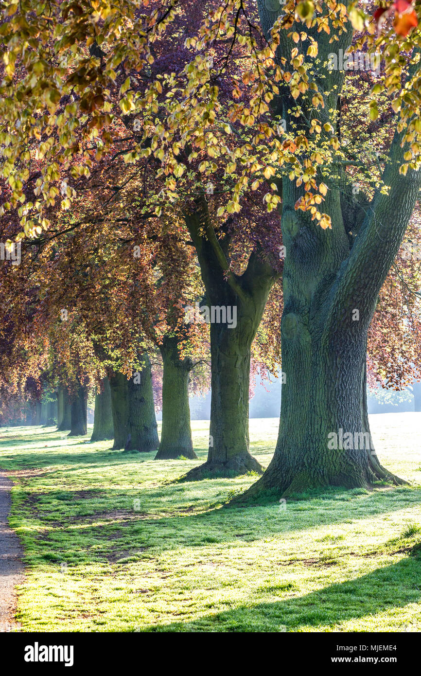 Northampton. U.K. May 5th 2018. Weather. A bright and sunny start to ...