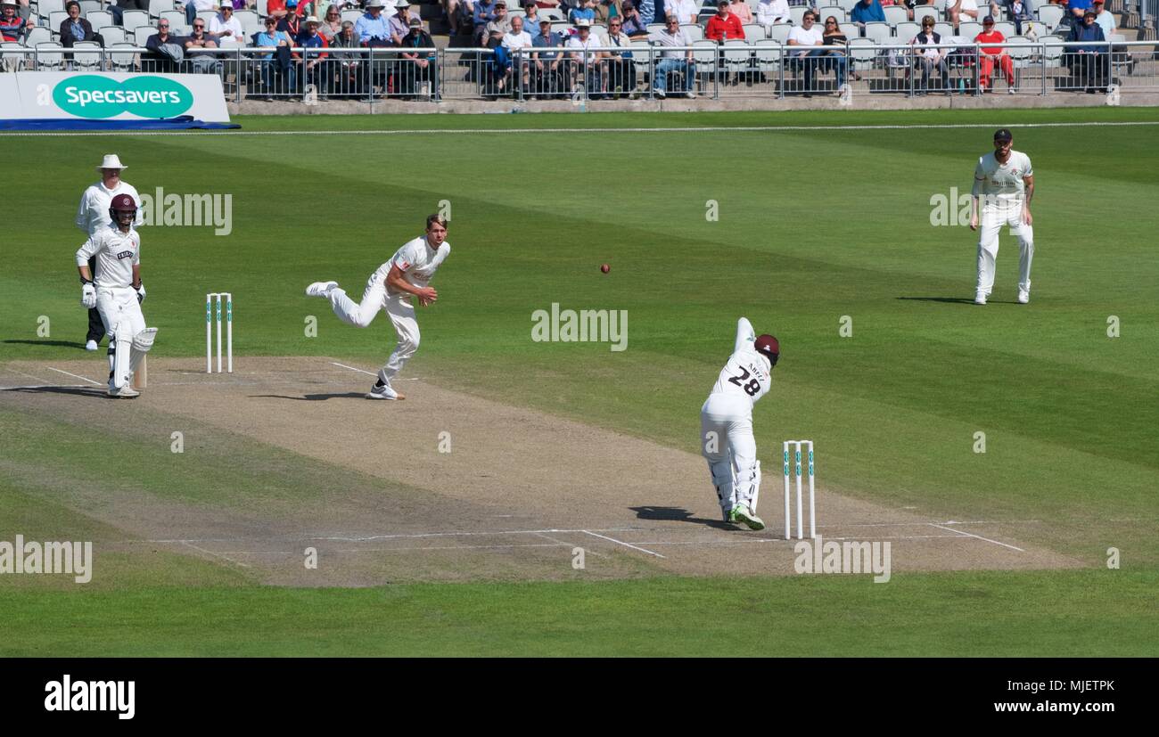 Cricket tom abell hi-res stock photography and images - Alamy