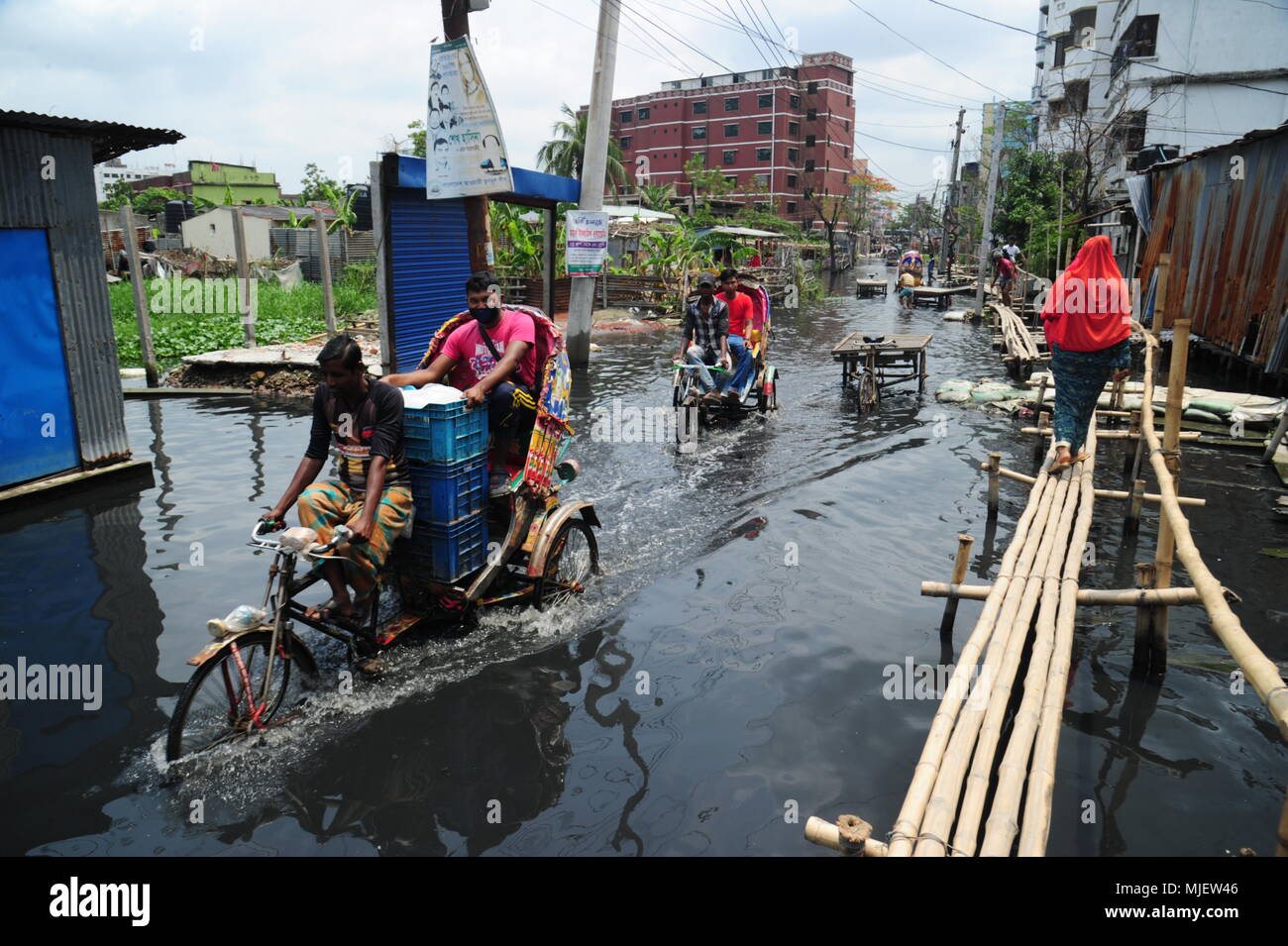 Nayan tree hi-res stock photography and images - Alamy
