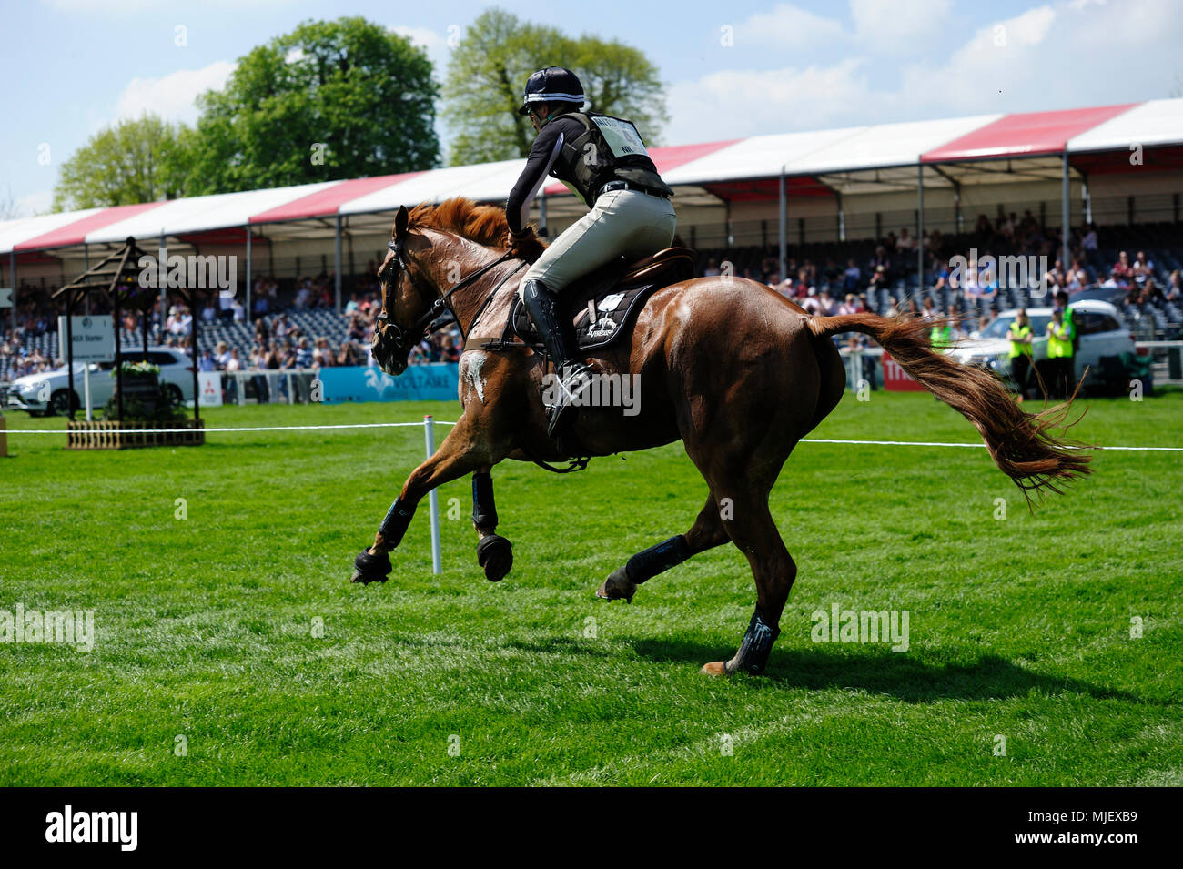 Event rider mark todd hi-res stock photography and images - Alamy