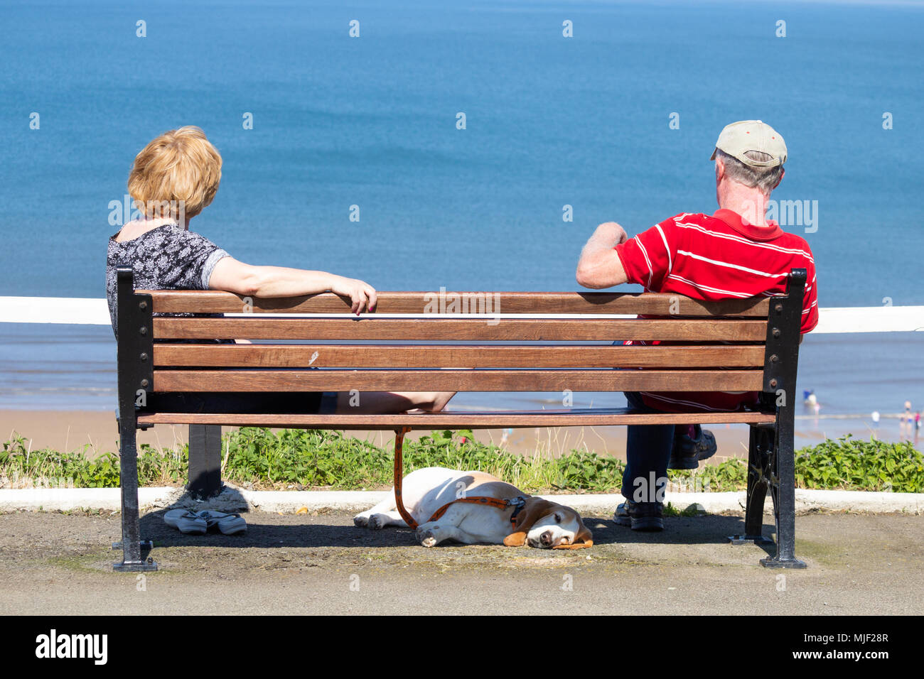 Elderly people sitting on seat rear view hi-res stock photography and ...