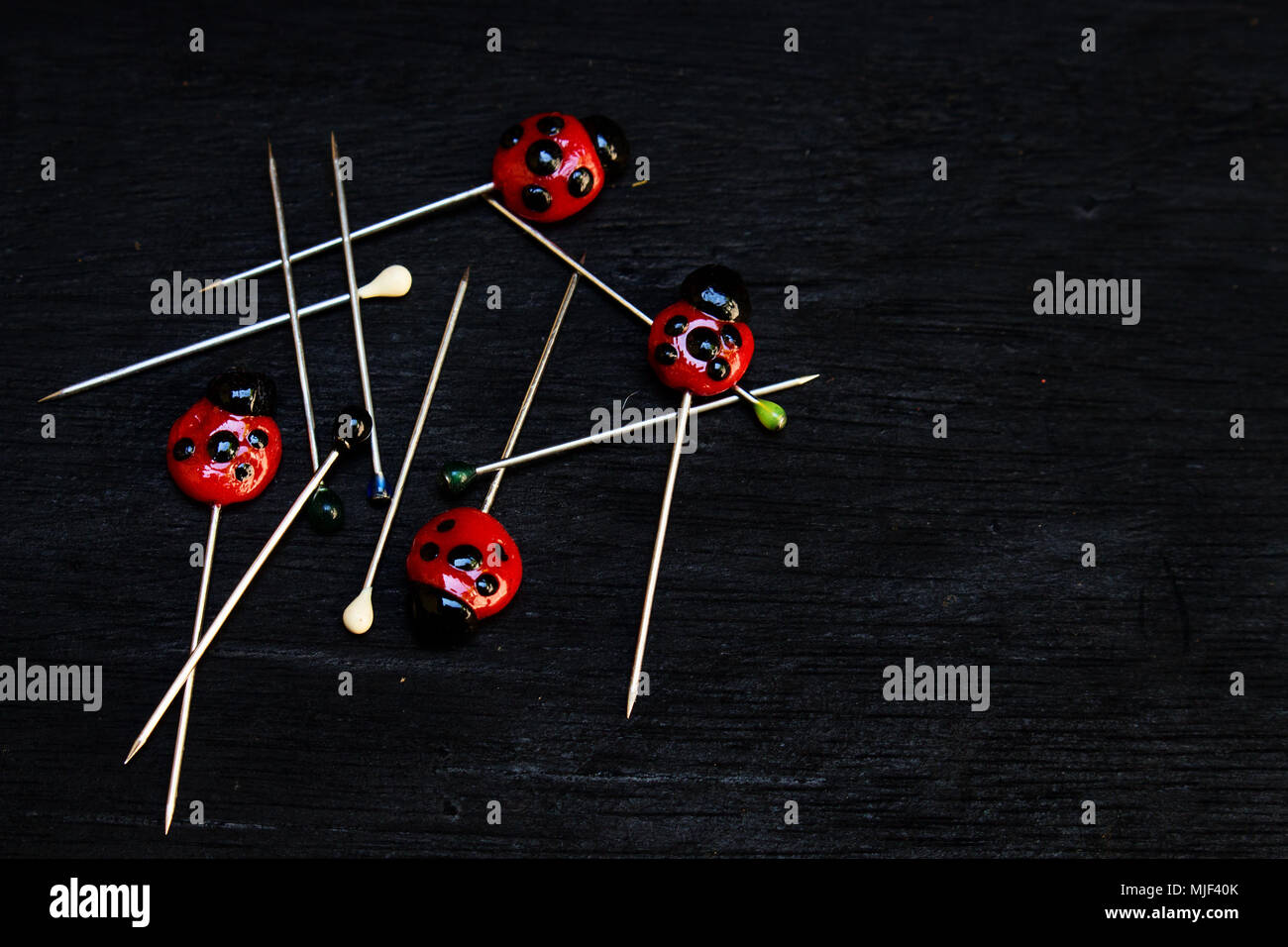 Messy Lady Bug Clay and Round Head Pins on Black Wood Background Stock ...
